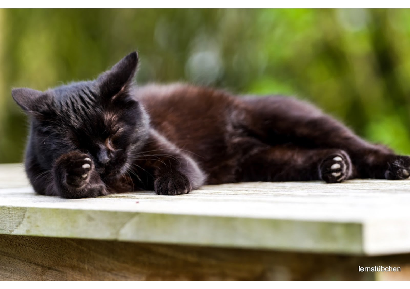 `tage silvester` | Grundschule (.pdf)