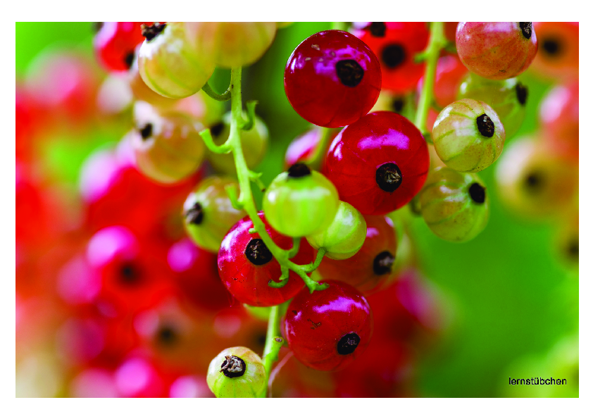 `advanced engineering mathematics (10th edition ) by erwin kreyszig ...