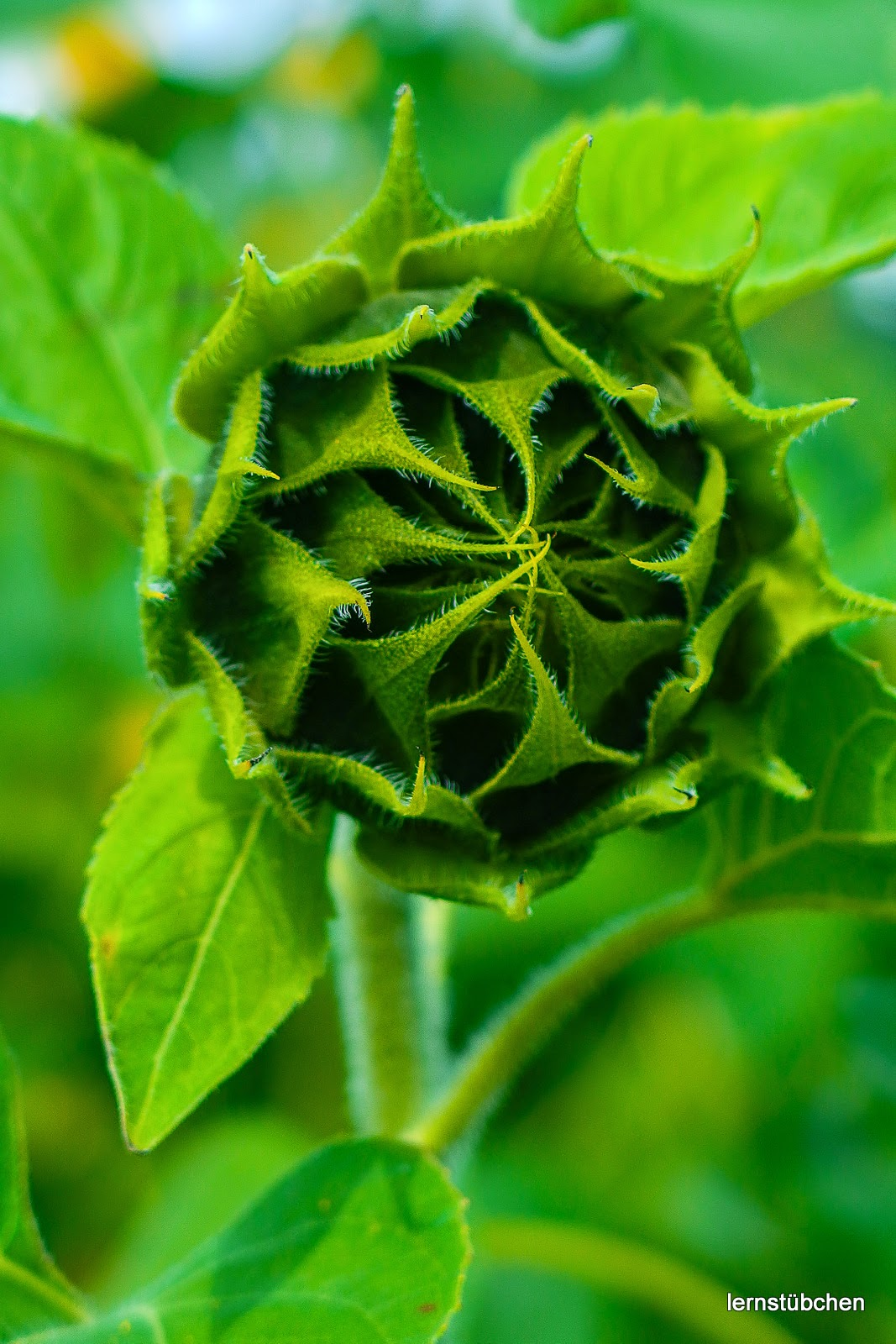 Was könnt ihr gebrauchen? (.pdf) - Lernstübchen